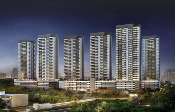 Even (EVEN3) paga R$ 79,5 milhões em dividendos; veja o valor por ação ...