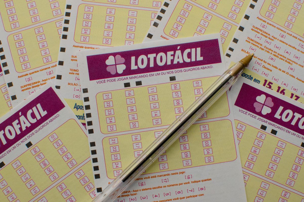 Lotofácil: 3 apostadores acertam as dezenas e faturam R$ 497 mil; veja ...