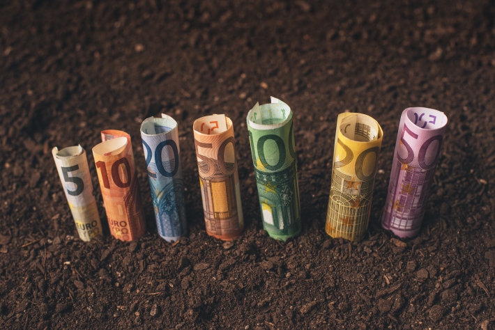 Vox Capital: Temos o desafio de vencer rótulo de que ESG não dá retorno ...